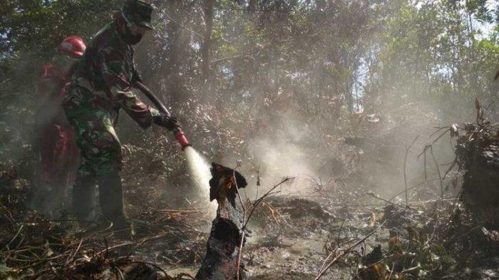 Kalsel, Kalteng dan 4 Provinsi Lainnya Ditetapkan Status Siaga Darurat Karhutla, Sumsel Paling ...