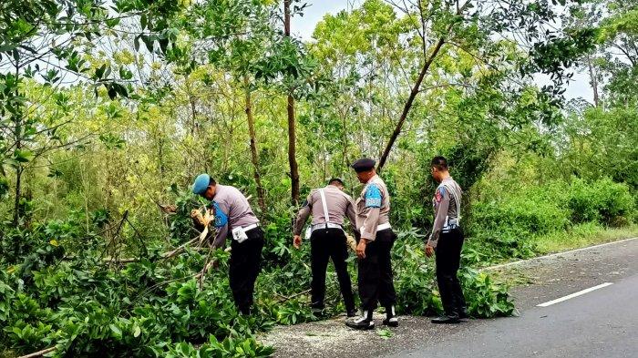 Cuaca Ekstrem di Palangkaraya, Hujan Lebat dan Angin Kencang Pengendara ...
