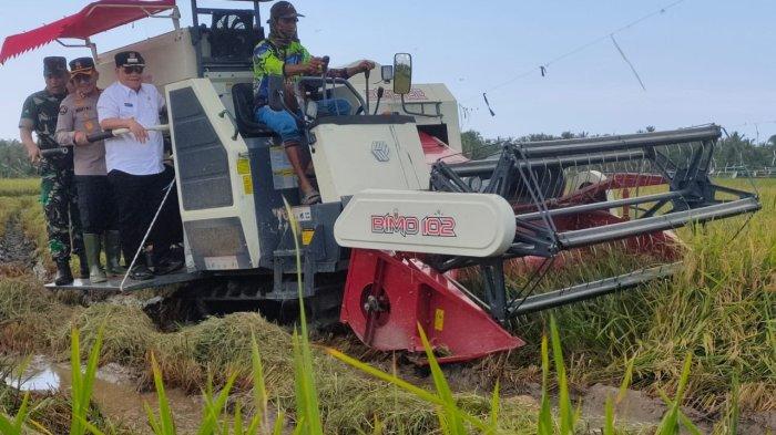 Bupati Kotim Halikinnor Hadiri Panen Raya Padi di Desa Lempuyang Jadi Program Swasembada Pangan ...