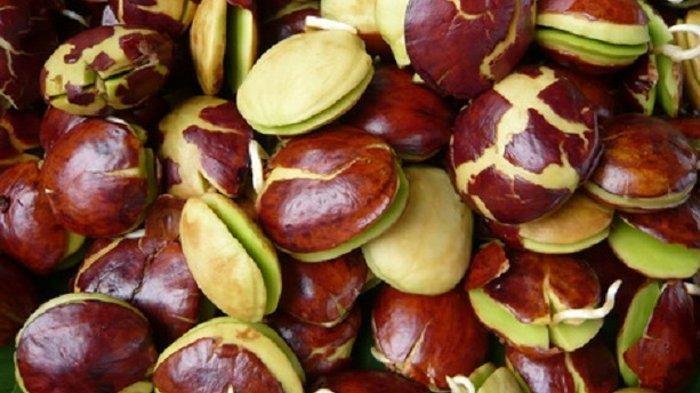 Jengkol Tak Menimbulkan Bau yang Menyengat, Ternyata Begini Cara Mudah ...