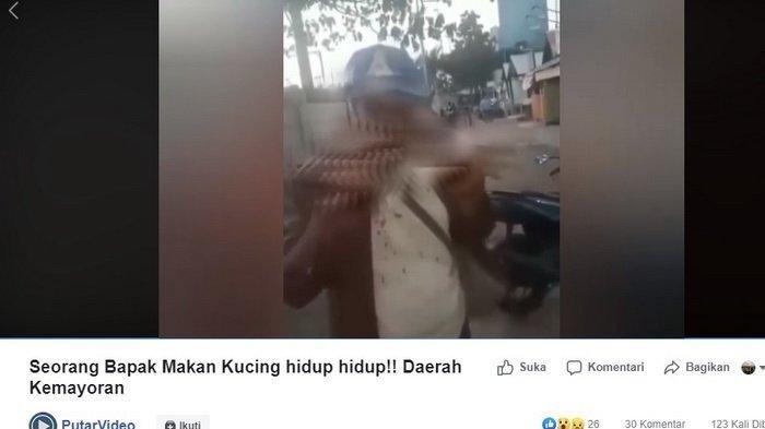 Viral Video Pria Makan Kucing Hidup-hidup di Kemayoran, Polisi Cari Pelaku - Tribunkalteng.com