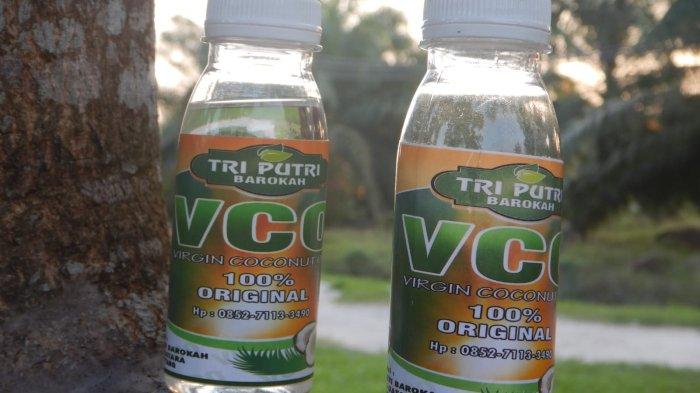 Dari Keripik hingga VCO: Cara Para Petani Kelapa Mewujudkan Nilai ...