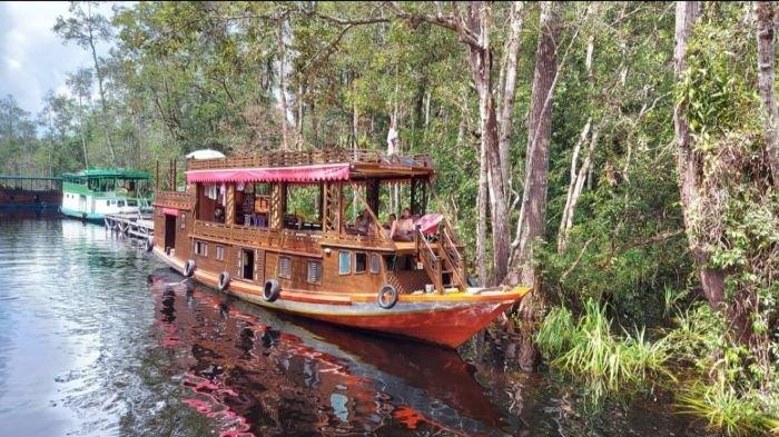 Libur Natal dan Tahun Baru 2023, Cuaca Buruk Berdampak Penurunan Pengunjung TN Tanjung Puting ...