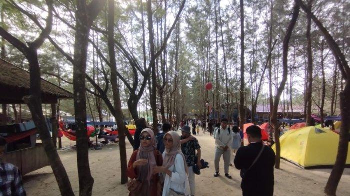 Tarif Menginap di Pantai Panrita Lopi Kukar, Disuguhkan Alam Pinus yang ...