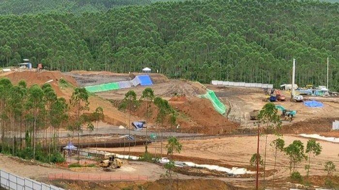 Pembangunan IKN Nusantara Ancaman Deforestasi Kaltim, Transformasi menjadi Hutan Lagi Perlu 99 ...