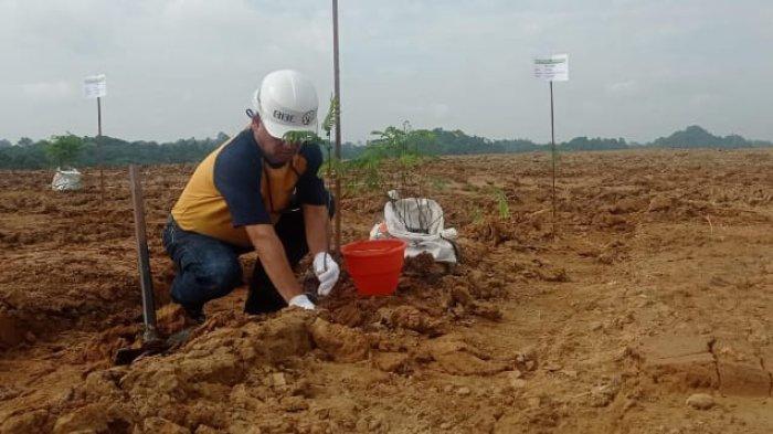 Ini Cara Perusahaan di Kutai Kartanegara Kalimantan Timur Menyuburkan ...