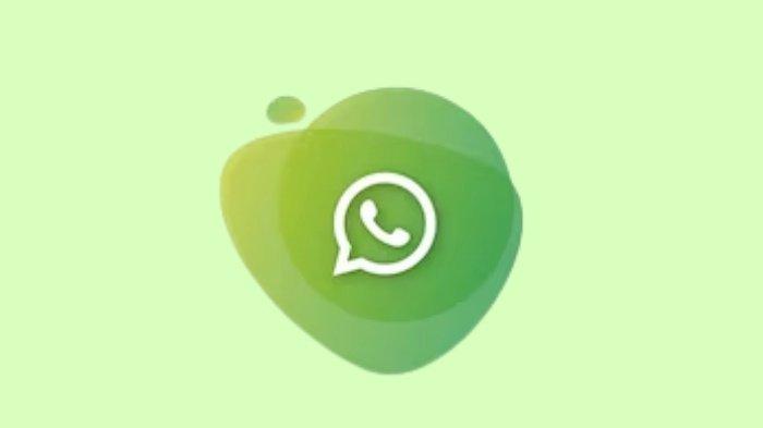 Tinggal Pilih Aplikasi Sadap WhatsApp Gratis atau Sadap WA Berbayar ...