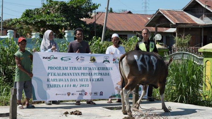 Peringati Idul Adha PT Kalimantan Prima Persada Jobsite Salurkan Daging ...