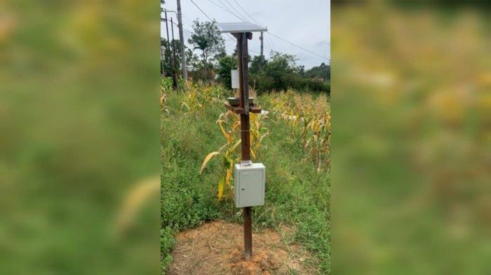 Bantu Petani Kurangi Pestisida, Dosen dan Mahasiswa Teknik Elektronika ...