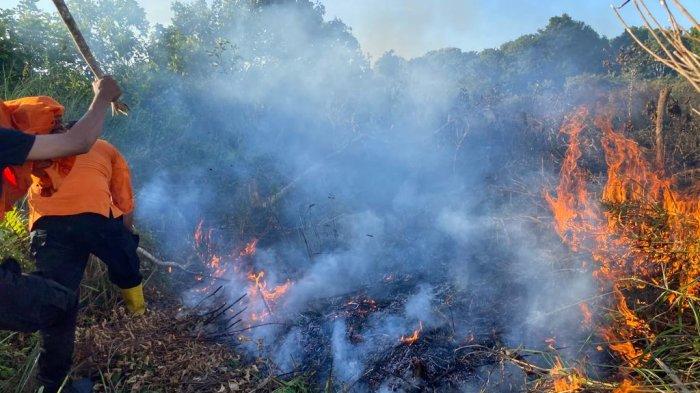 2 Lokasi di Penajam Paser Utara Hari Ini, Terjadi Kebakaran Hutan dan Lahan - Tribunkaltim.co