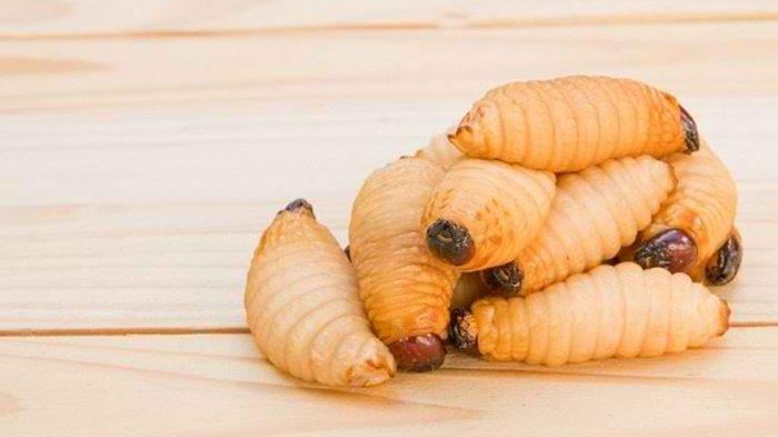 Viral Video Reaksi Guru saat Tahu Siswanya Bawa Bekal Ulat Sagu, Simak ...