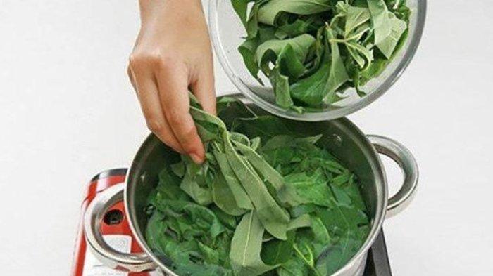 5 Cara Merebus Daun Singkong Agar Empuk dan Warnanya Tetap Hijau ...