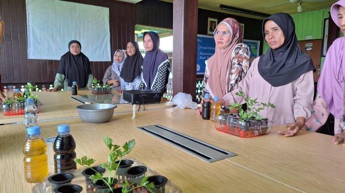 PNM Menggelar Klasterisasi Budidaya Daun Seledri - Tribunkaltim.co