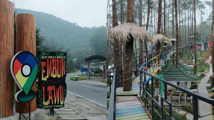 5 Tempat Wisata Instagramable di Tawangmangu, Embun Lawu Buka 24 Jam ...