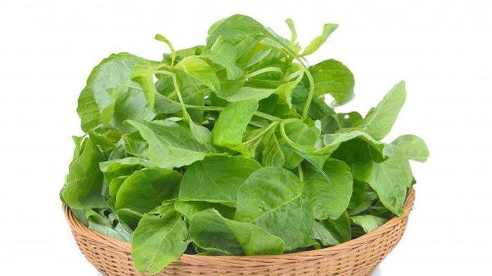10 Manfaat Bayam Bagi Kesehatan Tubuh, Dapat Mengurangi Efek Buruk Dari ...