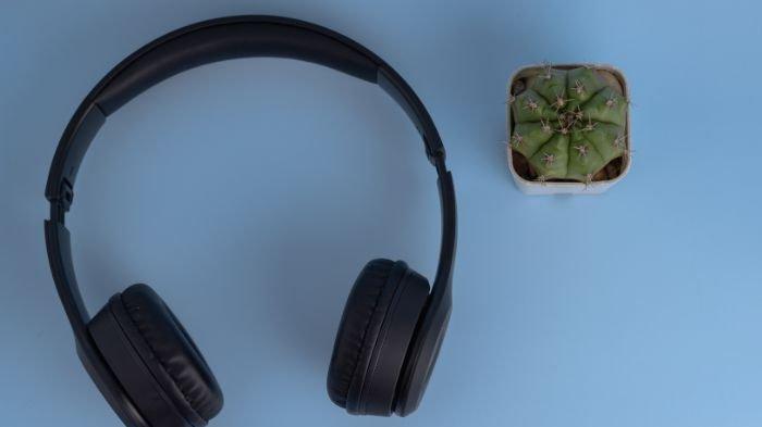 Link Download Lagu MP3, Unduh Musik Terlengkap dan Terbaik 2023 Secara ...