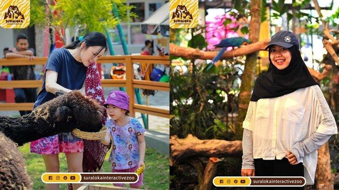 Suraloka Interactive Zoo Jogja Merupakan Tempat Wisata yang Ramah Anak ...