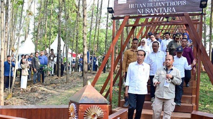 Mengintip Miniatur Hutan Hujan Tropis IKN Nusantara, Rumahnya Pakai ...