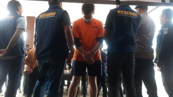 Kasus Kepemilikan Harimau yang Terkam ART di Samarinda Siap Masuk ...