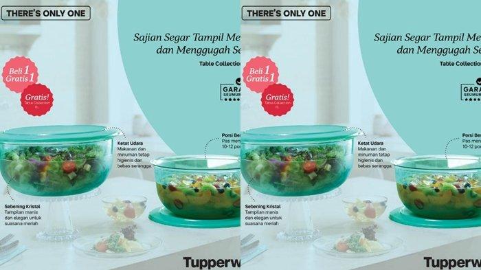 Katalog Promo Tupperware di Awal Bulan Januari 2024, Tempat Sayur Beli 1 Gratis 1 - Tribunkaltim.co