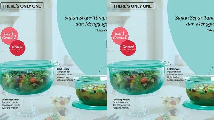 Katalog Promo Tupperware Bulan Januari 2024, Tempat Sayur dan Buah 6 ...