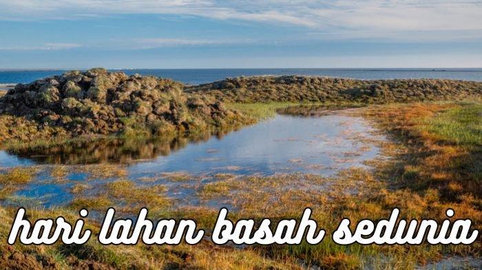 Sejarah 2 Februari: Memperingati Hari Lahan Basah Sedunia, Inilah ...