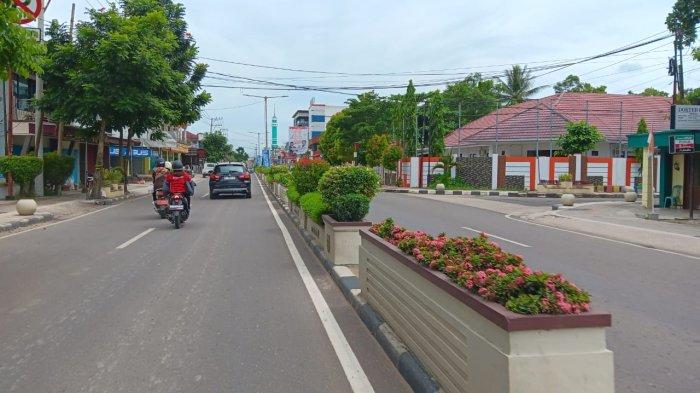 Gunakan Metode Nyulam ke Beberapa Tanaman di Median Jalan Kota Tanjung ...