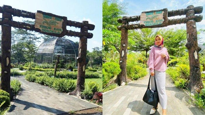8 Pilihan Tempat Wisata Hits di Boyolali, Kebun Raya Indrokilo ...