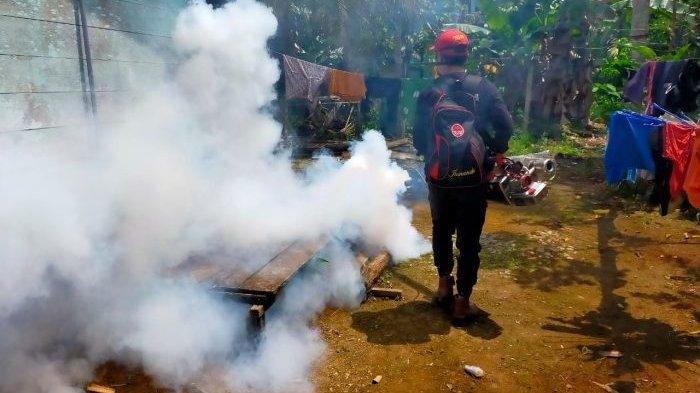 Cegah Penyebaran DBD, Kepala Dinkes Mahulu Ajak Masyarakat Jaga Kebersihan Lingkungan ...