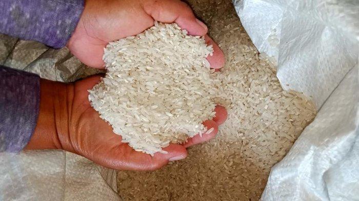 Terjawab Sudah Kenapa Harga Beras Naik? Begini Kata Tom Lembong dan Penjelasan Polisi ...