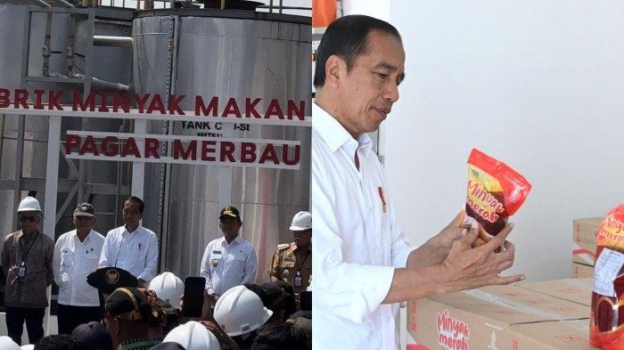 Apa Itu Minyak Makan Merah atau Minyak Merah? Pabriknya Diresmikan Jokowi, Beda dari Minyak ...