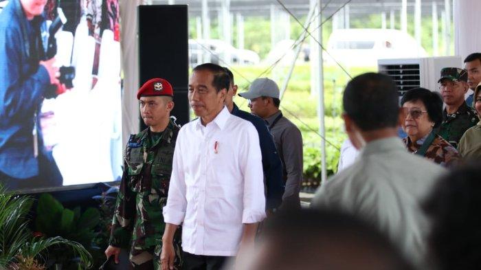 Alasan PKS - PDIP Kompak Serang Jokowi Soal Upacara 17 Agustus di IKN ...
