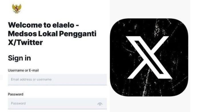 Mengenal Ela Elo yang Viral Disebut Pengganti X, Kapan Kominfo Blokir Aplikasi Milik Elon Musk ...