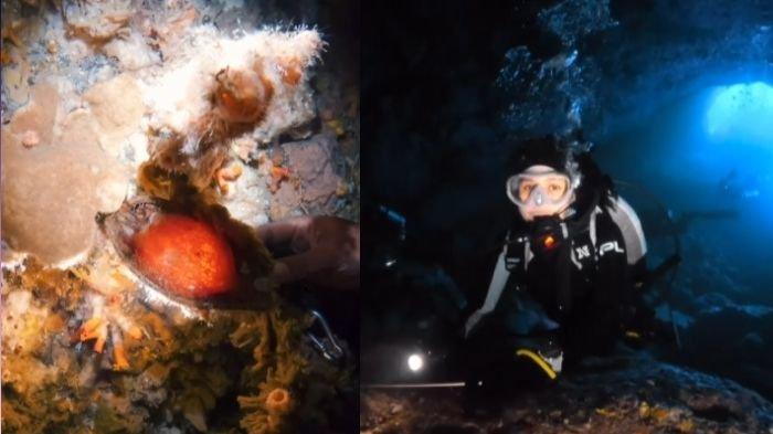 10 Momen Prilly Latuconsina Diving dan Temukan Telur Hiu, Cantik dan ...