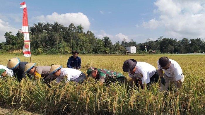 Atasi Ketergantungan Pangan dari Luar Samarinda, Pemkot Target Buka ... Atasi Ketergantungan Pangan dari Luar Samarinda, Pemkot Target Buka ...