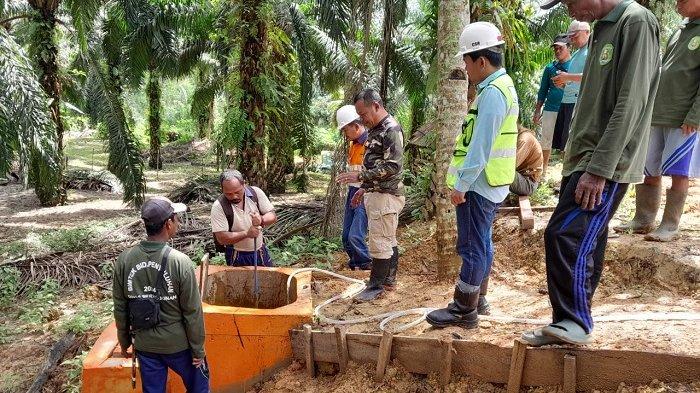 PT Indexim Coalindo Dampingi Petani Terapkan Biogas - Tribunkaltim.co