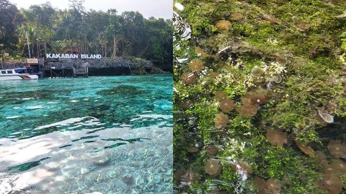 Pulau Kakaban Kaltim