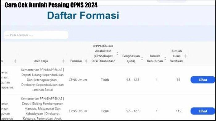 Syarat Lolos SKD CPNS 2024, Perhatikan Cara Cek Jumlah Pesaing via Live Score dan Laman Instansi ...