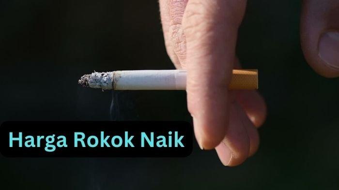 Naik 2025! Inilah Rincian Daftar Harga Rokok dan Vape Terbaru ...