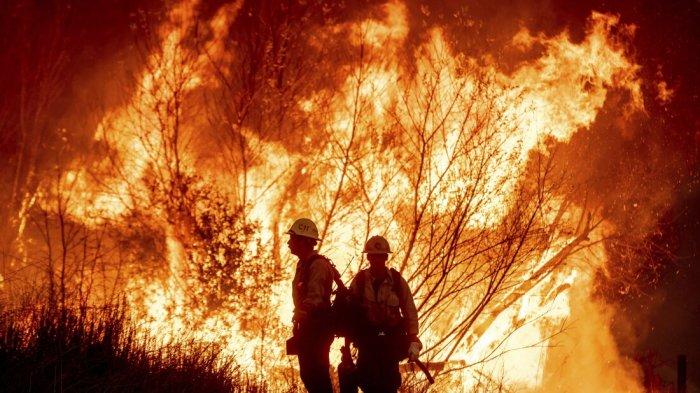 5 Potret Diduga Penyebab Kebakaran di Los Angeles, Ribuan Rumah Mewah ...