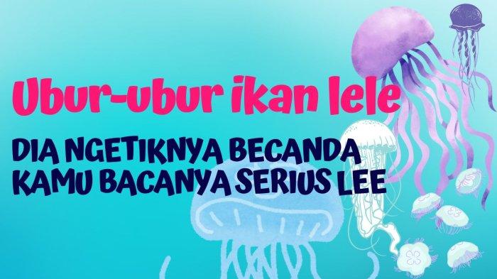 41 Pantun Ubur-ubur Ikan Lele yang Unik dan Menarik, Jadikan Caption di Instagram/WhatsApp ...