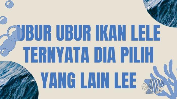 61 Kumpulan Pantun Ubur-ubur Ikan Lele yang Unik dan Lucu, Cocok Jadi Caption di Instagram ...