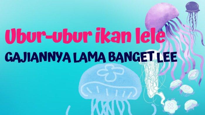 73 Kumpulan Pantun Ubur-ubur Ikan Lele yang Viral di Media Sosial, Cocok Jadi Caption WA/IG ...