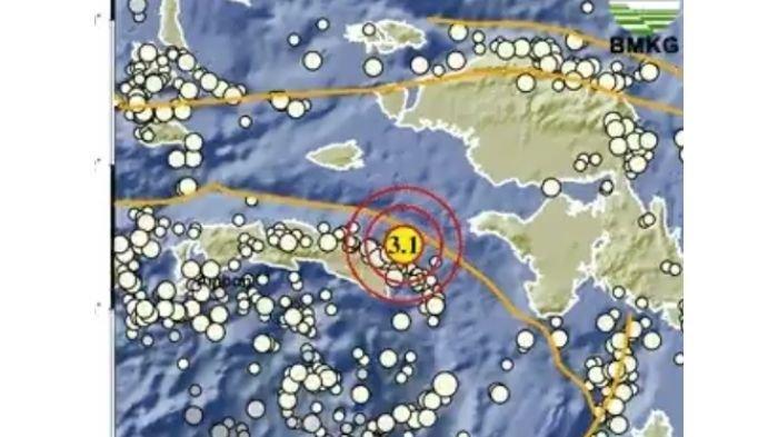 Gempa Barusan Magnitudo 3.1 di Seram Bagian Timur Maluku, Info BMKG dan Pusat Gempa 2 Menit Lalu ...