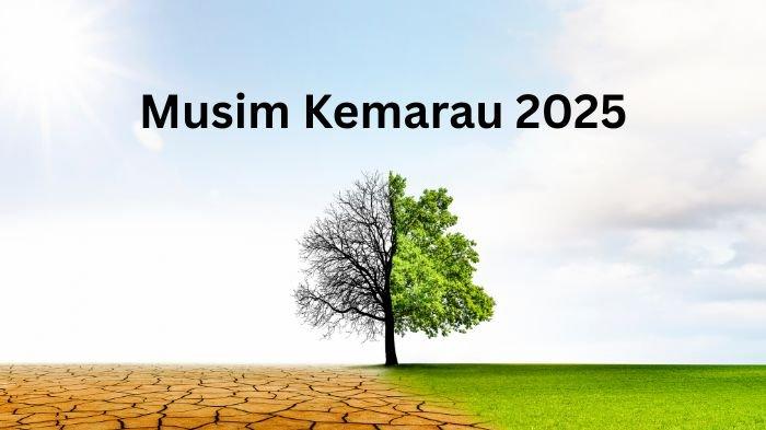 Kapan Musim Kemarau 2025? Ini Prediksi BMKG untuk Wilayah Kalimantan Timur - Tribunkaltim.co