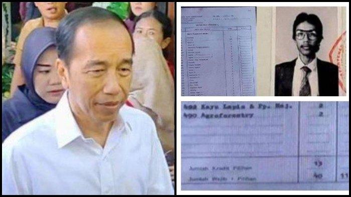 Polemik Ijazah Jokowi, Pengamat: Sudahi Saja, Yang Mau Kita Cari Apa ...