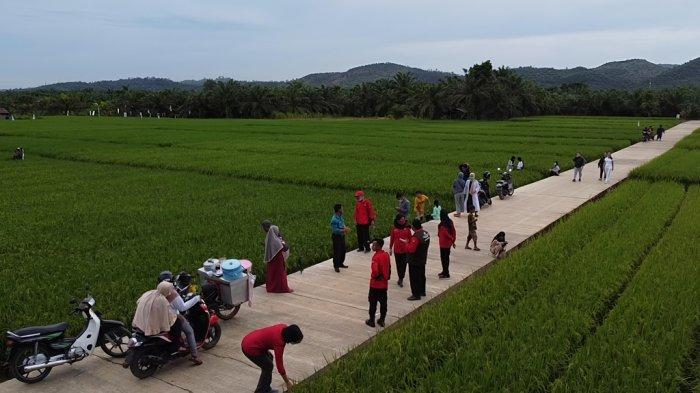 Desa Padang Jaya Paser Siapkan Program Ketahanan Pangan Berbasis ...