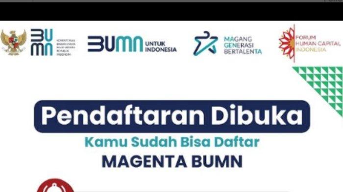 Apa Itu Magenta BUMN? 4 Program Magang Bersertifikat di Kementerian ...