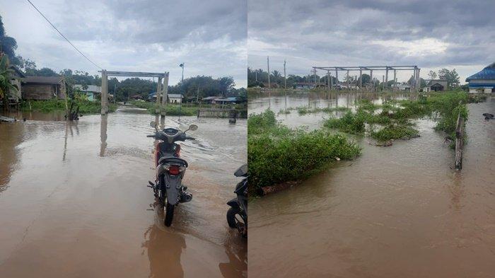 Banjir di Tumbit Melayu Berau Akibatkan Banyak Tanaman Petani yang Gagal Panen - Tribunkaltim.co
