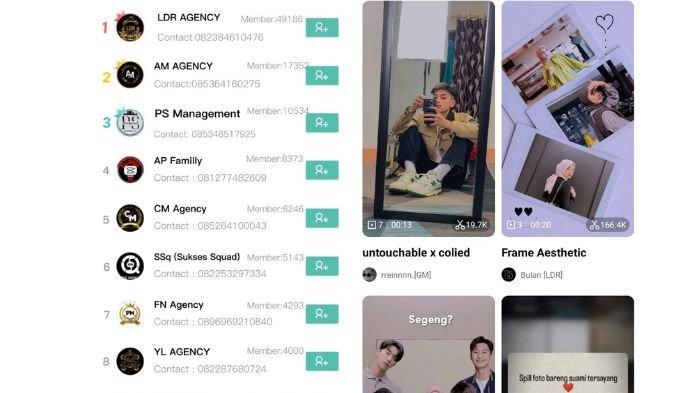Syarat Agar Lolos saat Daftar jadi Creator CapCut, Ikuti Caranya Berikut - Tribunkaltim.co